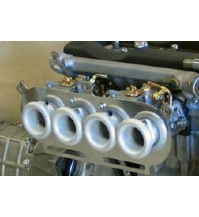 Top End Performance - Discount BORLA / TWM Induction Systems and ...